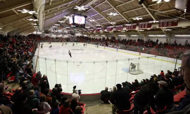 Harvard ice hockey: reclutamiento, becas e instalaciones | FN Hockey